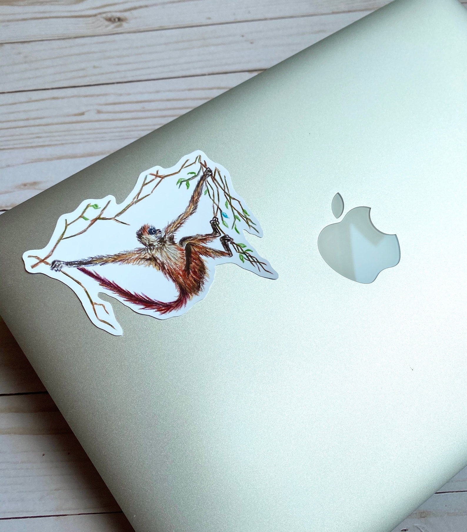 Spider Monkey Colored Pencil Sticker, Animal Drawing, Jungle Wildlife ...