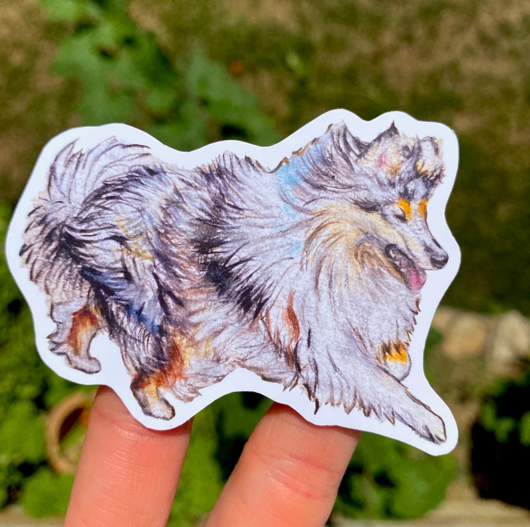 Sheltie Sticker Kleurpotlood Dierlijke Tekening Shetland - Etsy Nederland