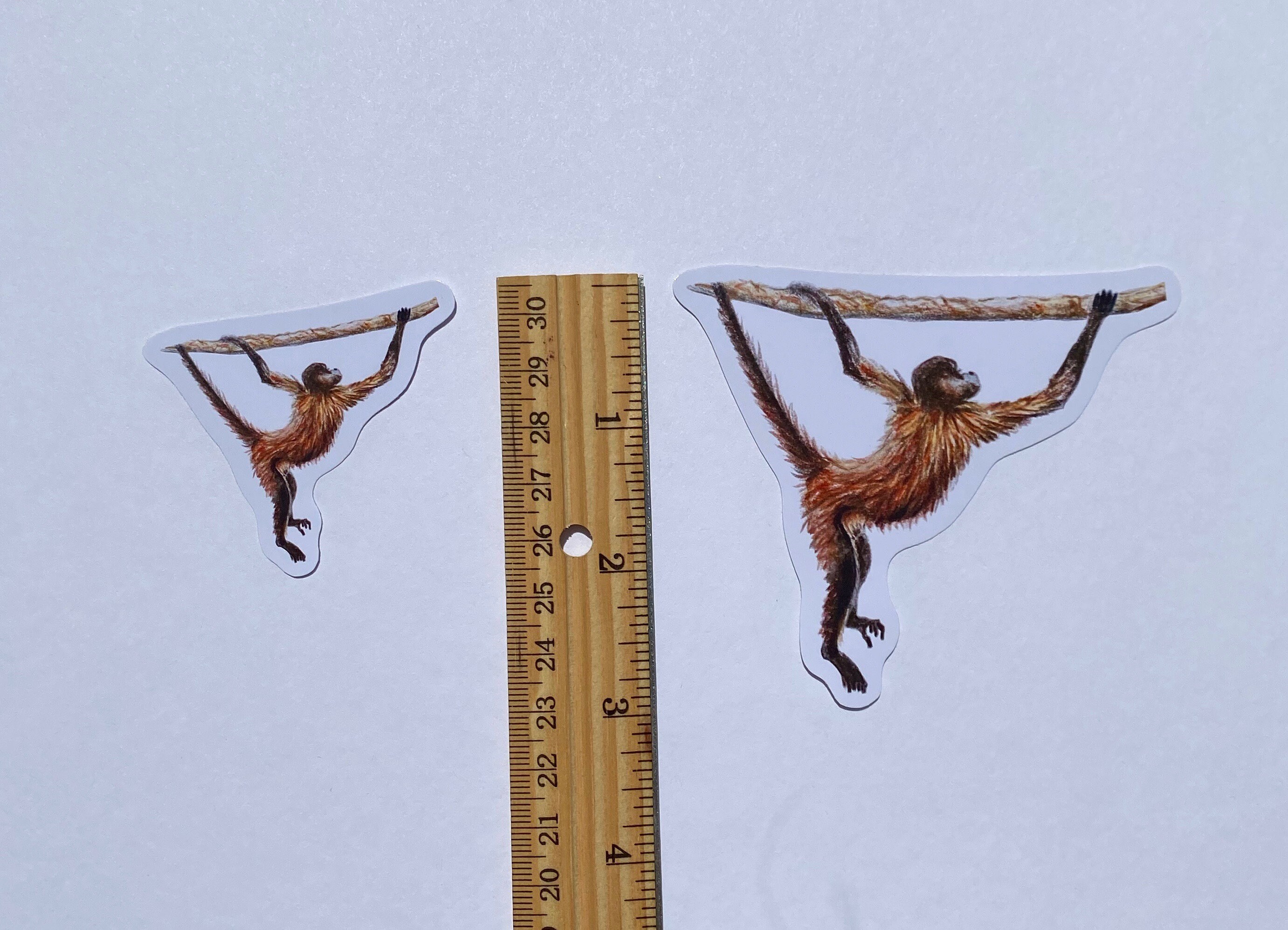 Spider Monkey Sticker, Colored Pencil Animal Drawing, Jungle Wildlife ...