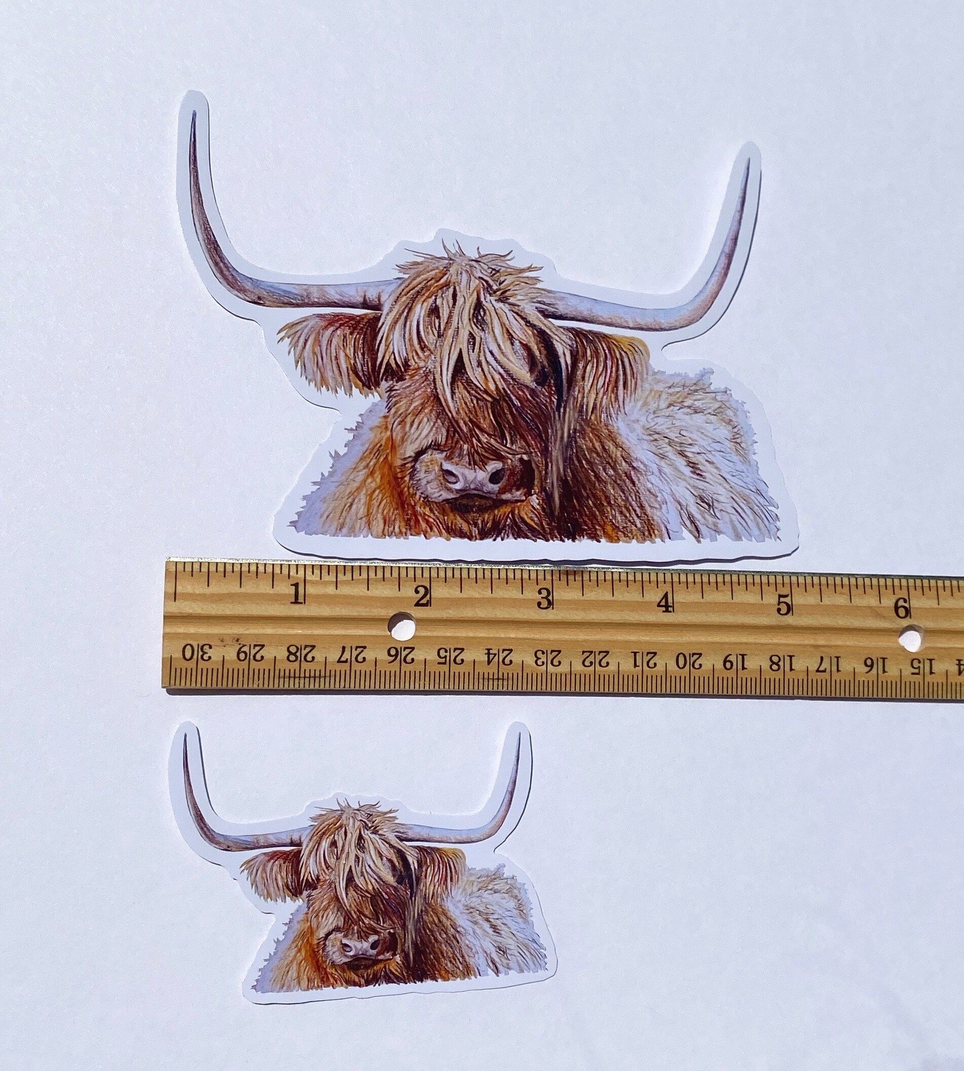 Highland Cow Sticker: Colored Pencil Scottish Cattle Art - Etsy