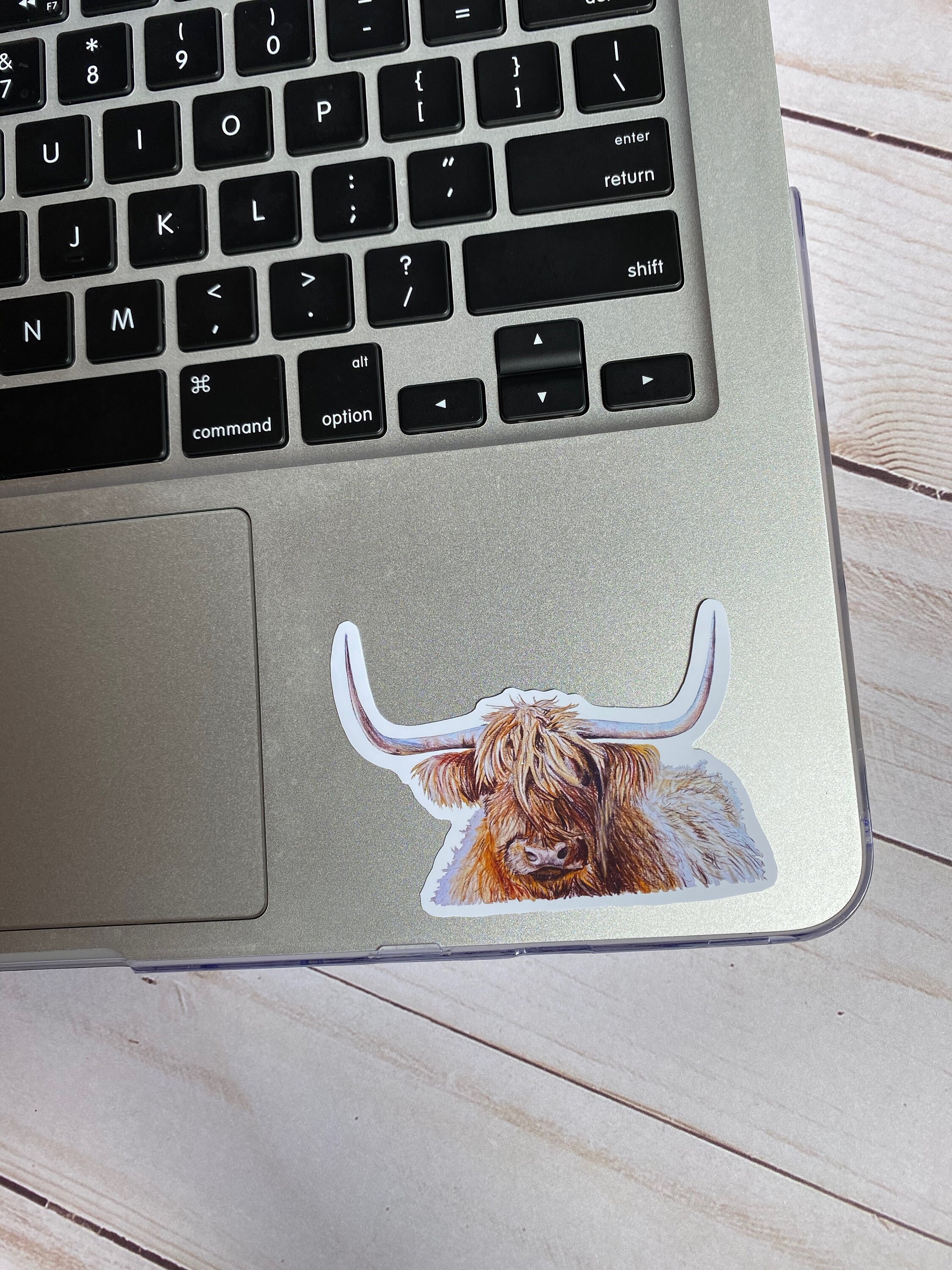 Highland Cow Sticker: Colored Pencil Scottish Cattle Art - Etsy