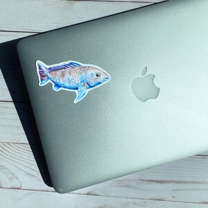 Red Snapper Sticker, Colored Pencil Marine Animal Snapper Original ...