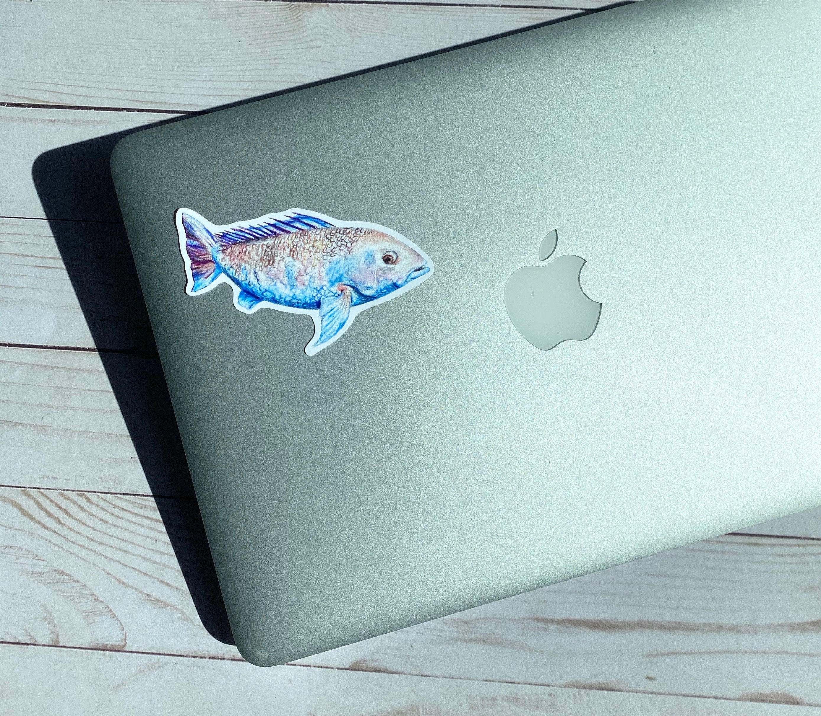 Red Snapper Sticker Colored Pencil Marine Animal Snapper - Etsy