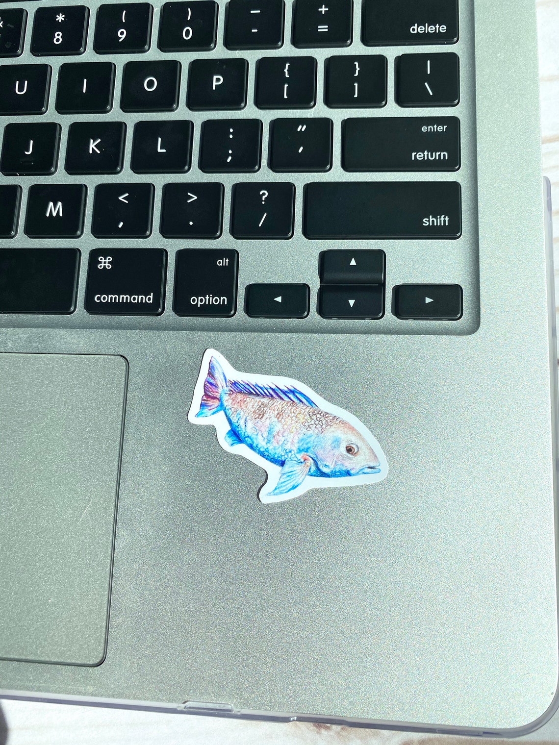 Red Snapper Sticker Colored Pencil Marine Animal Snapper - Etsy