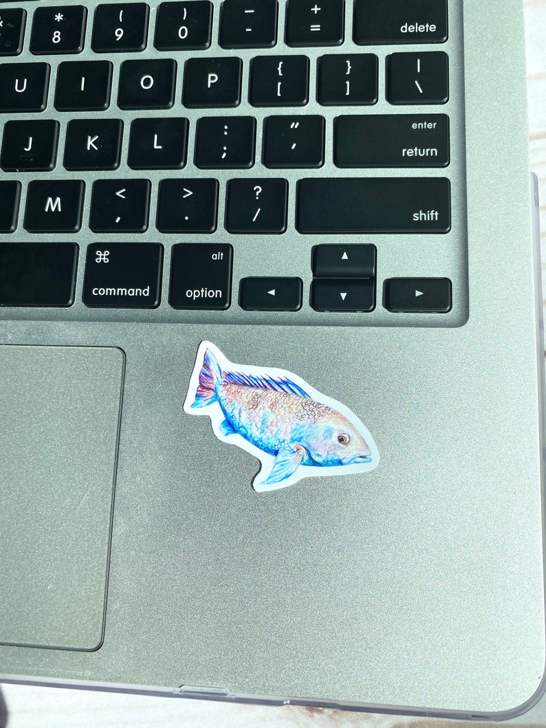 Red Snapper Sticker Colored Pencil Marine Animal Snapper - Etsy