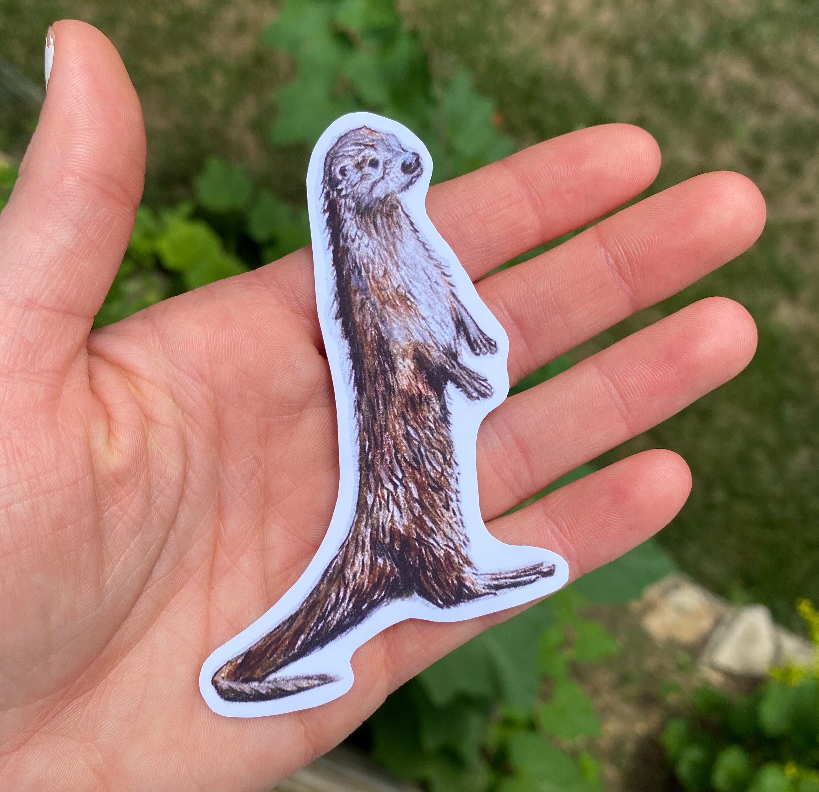Otter Sticker, Colored Pencil Animal Drawing, Wildlife Art Laptop Decal ...
