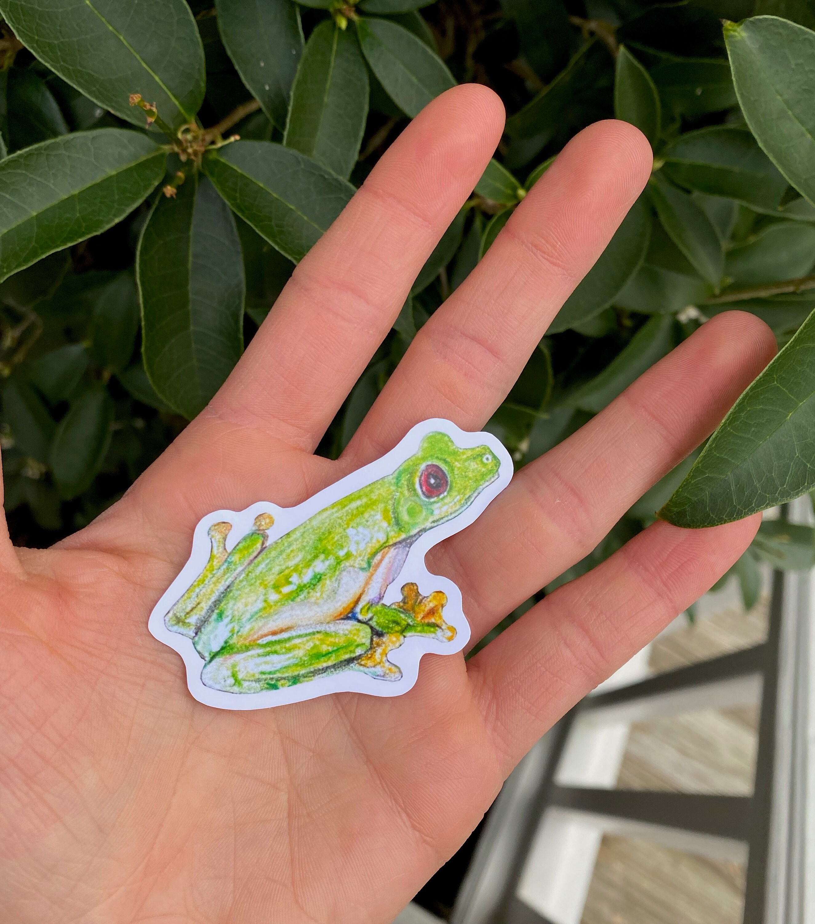 Tree Frog Sticker, Colored Pencil Animal Drawing, Jungle Wildlife Art ...
