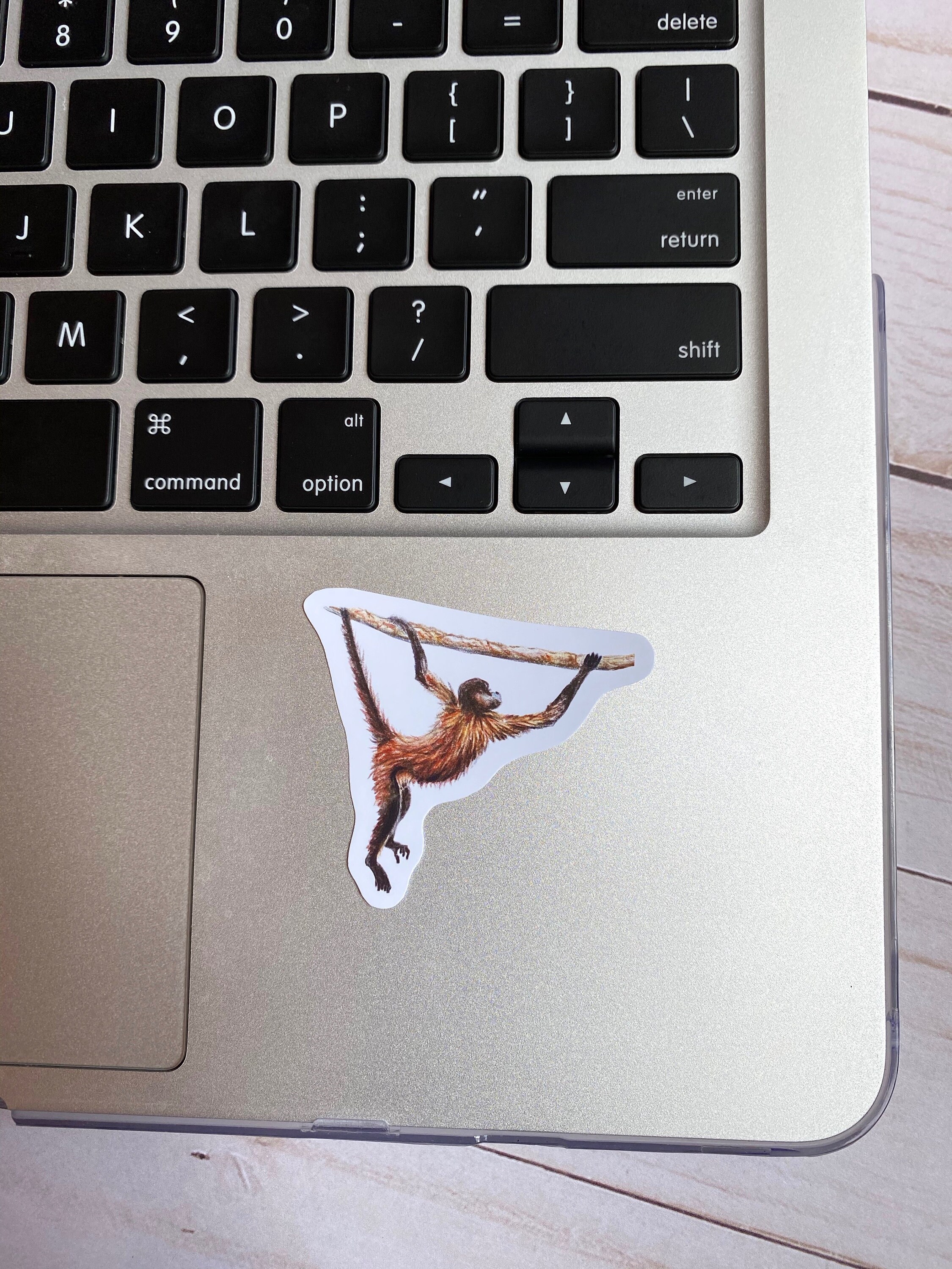 Spider Monkey Sticker, Colored Pencil Animal Drawing, Jungle Wildlife ...