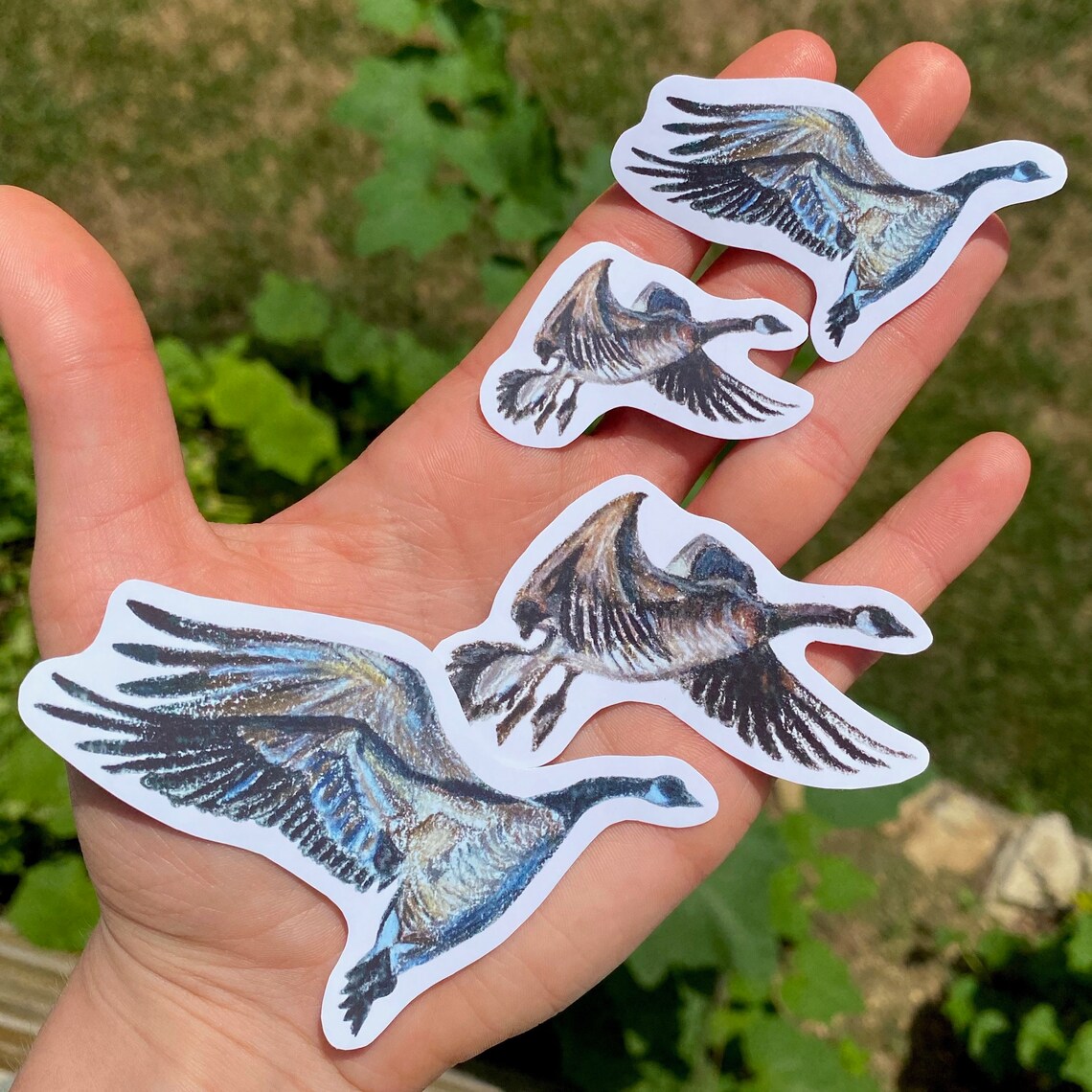 Canada Geese Stickers Colored Pencil Animal Drawing Sticker | Etsy