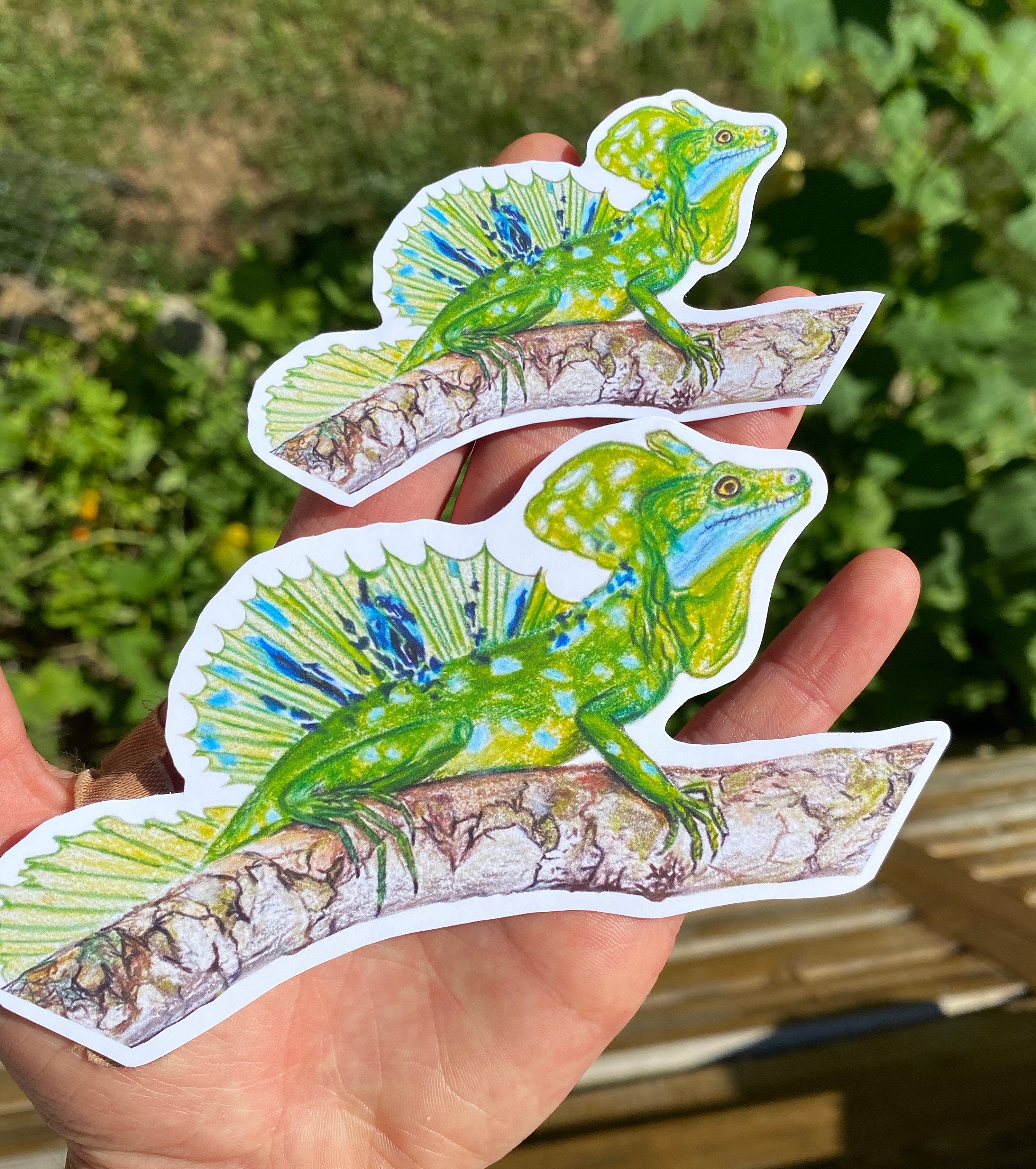 Basilisk Lizard Sticker, Colored Pencil Animal Drawing, Wildlife Art ...