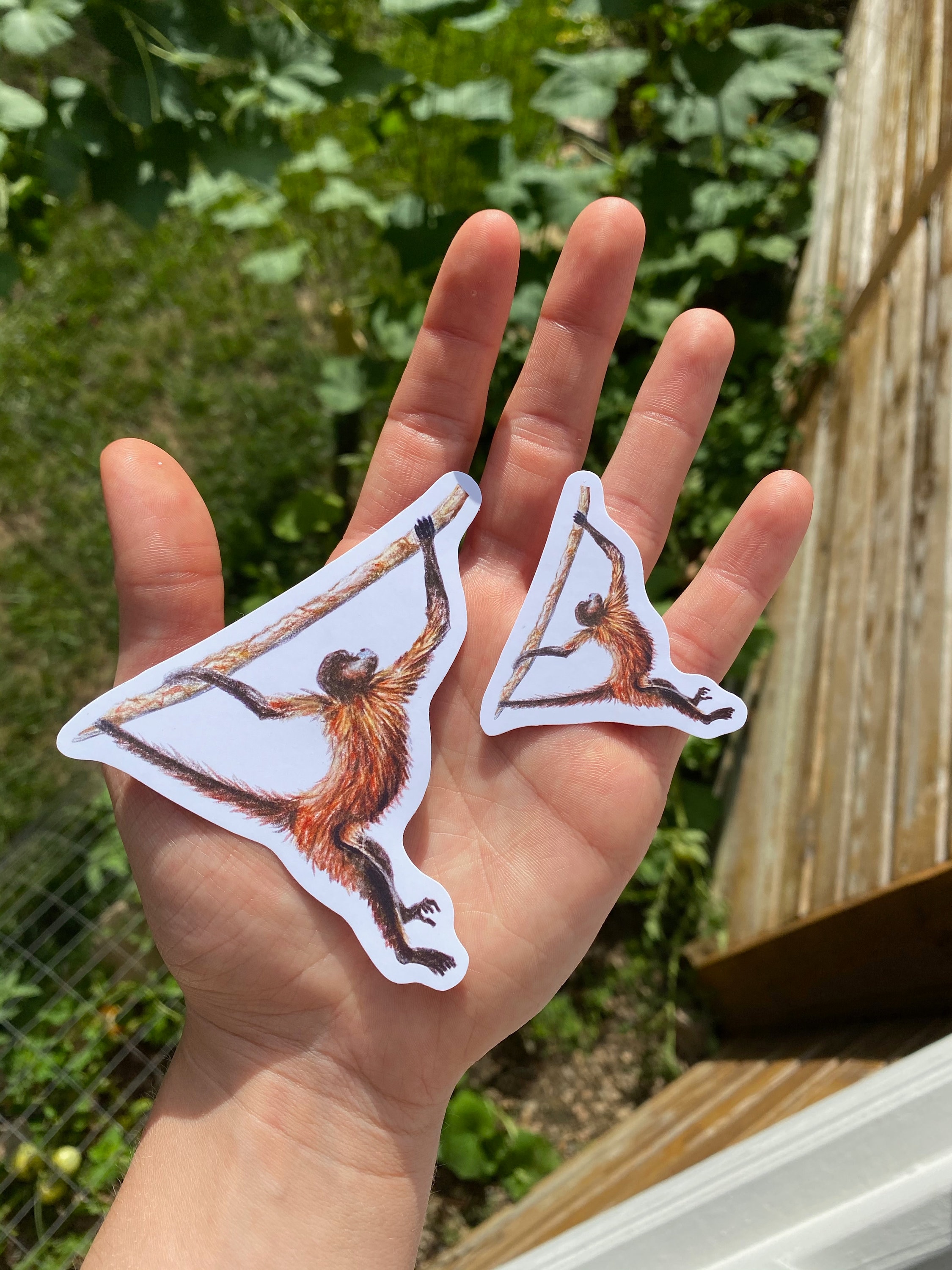Spider Monkey Sticker, Colored Pencil Animal Drawing, Jungle Wildlife ...
