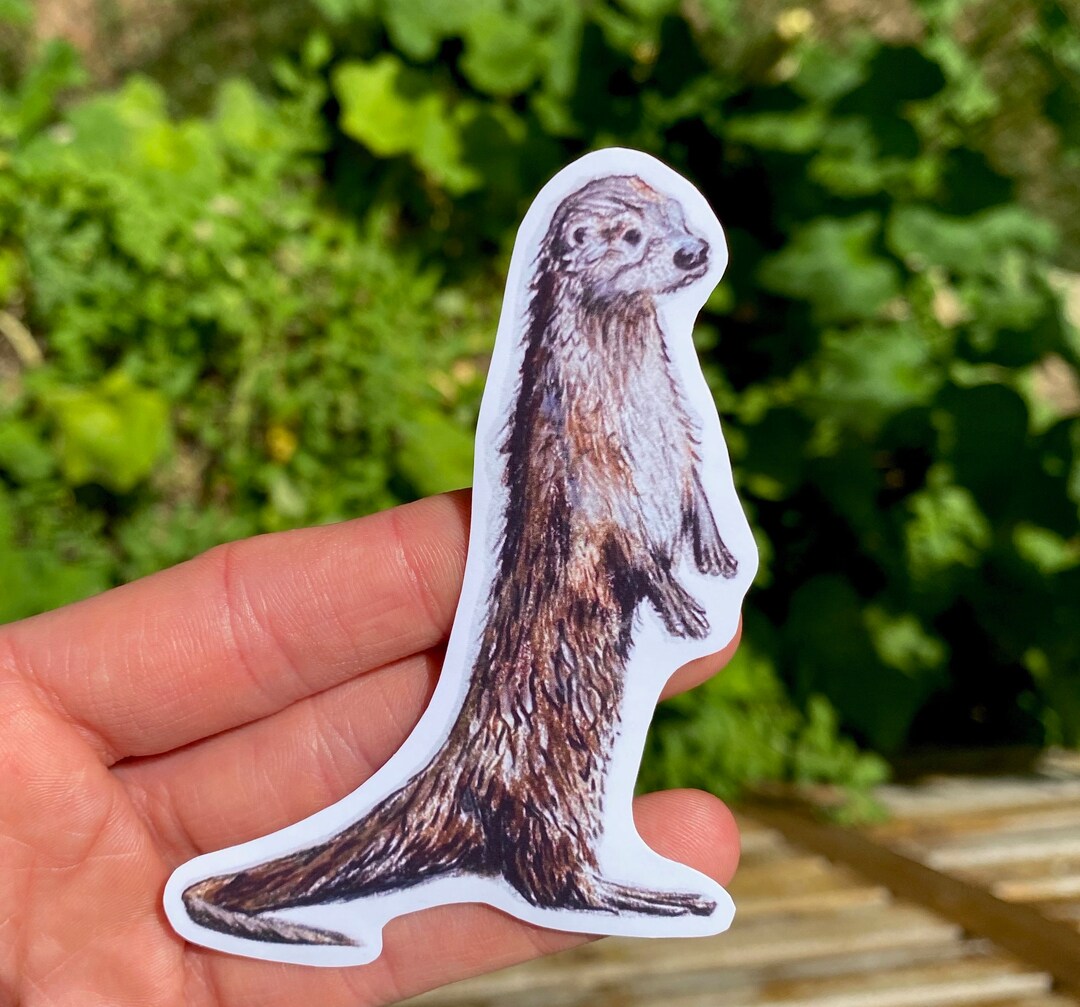 Otter Sticker, Colored Pencil Animal Drawing, Wildlife Art Laptop Decal ...