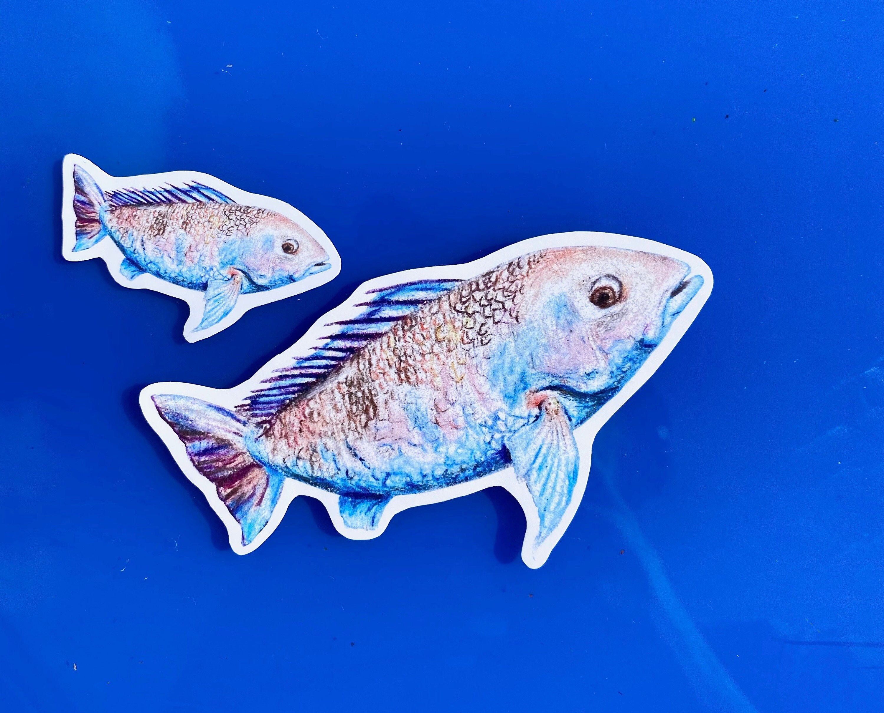 Red Snapper Sticker Colored Pencil Marine Animal Snapper - Etsy