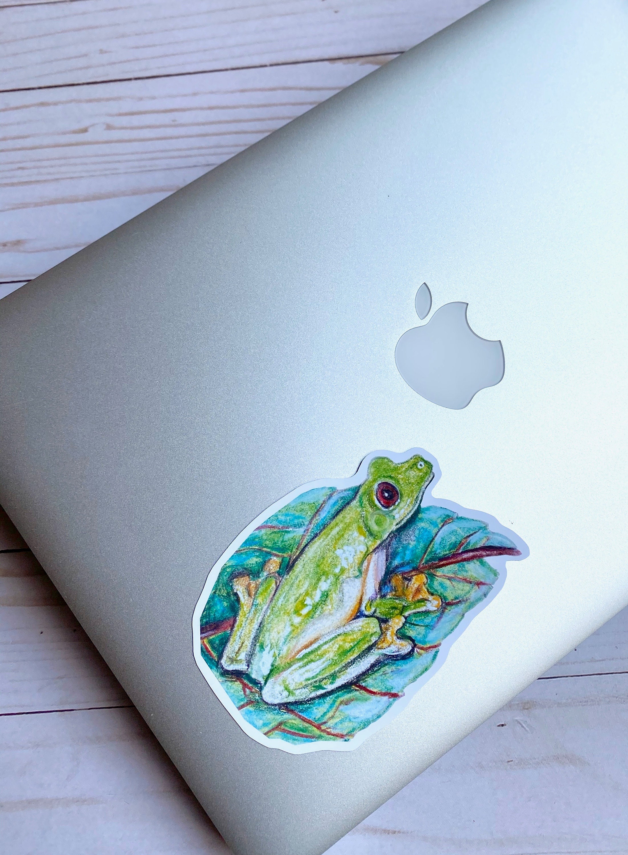 Red Eyed Tree Frog Sticker Colored Pencil Tree Frog Original - Etsy
