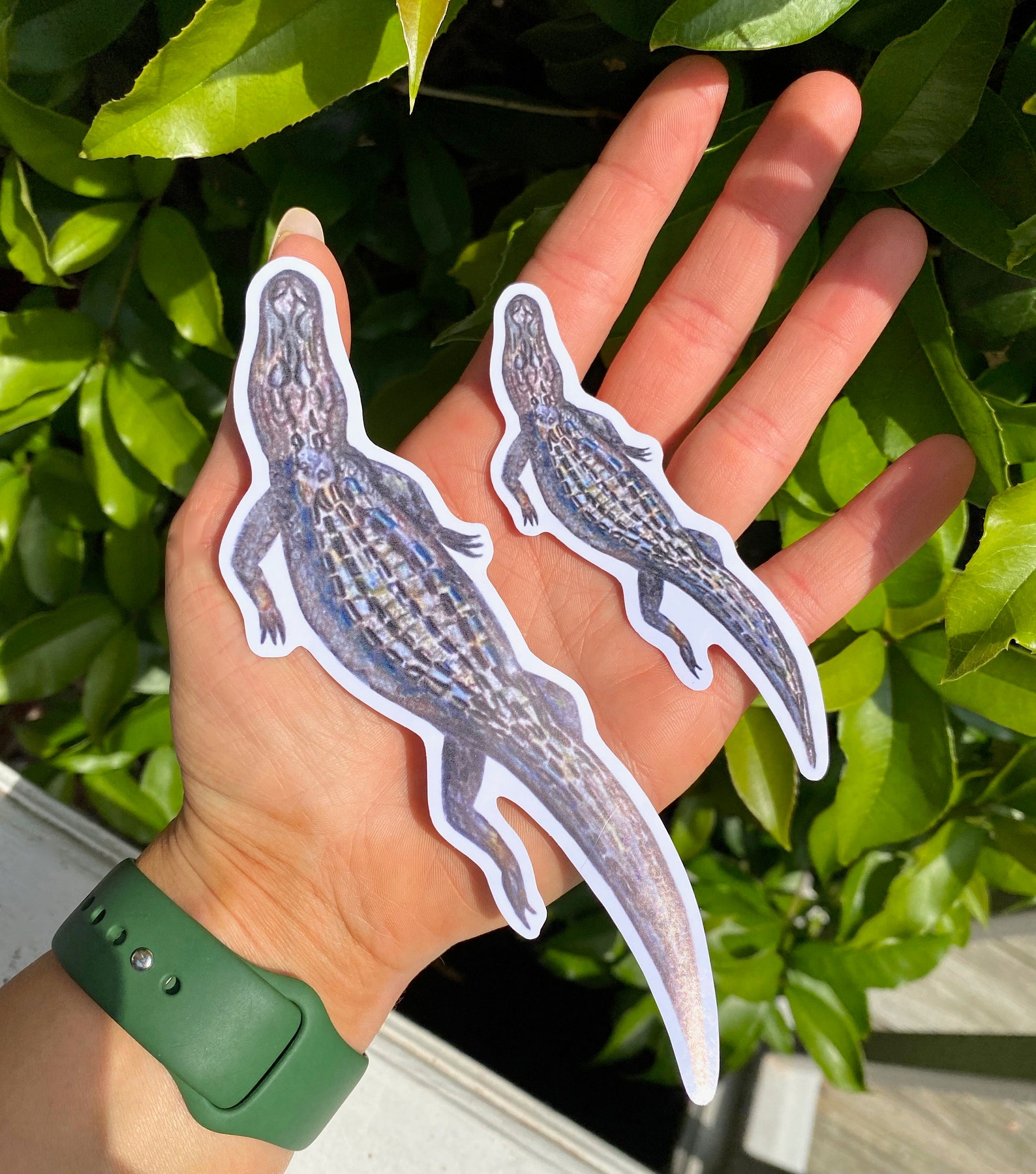 Alligator / Crocodile Sticker, Colored Pencil Reptile Animal Drawing ...