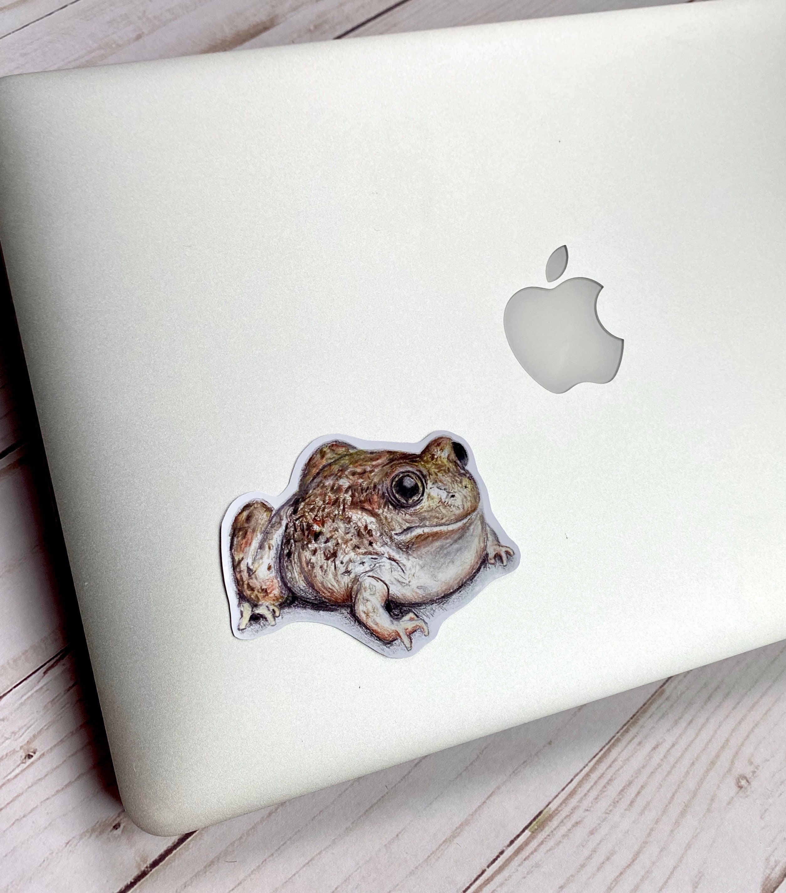 Frog Sticker, Colored Pencil Animal Drawing, Frog / Toad Wildlife Art ...