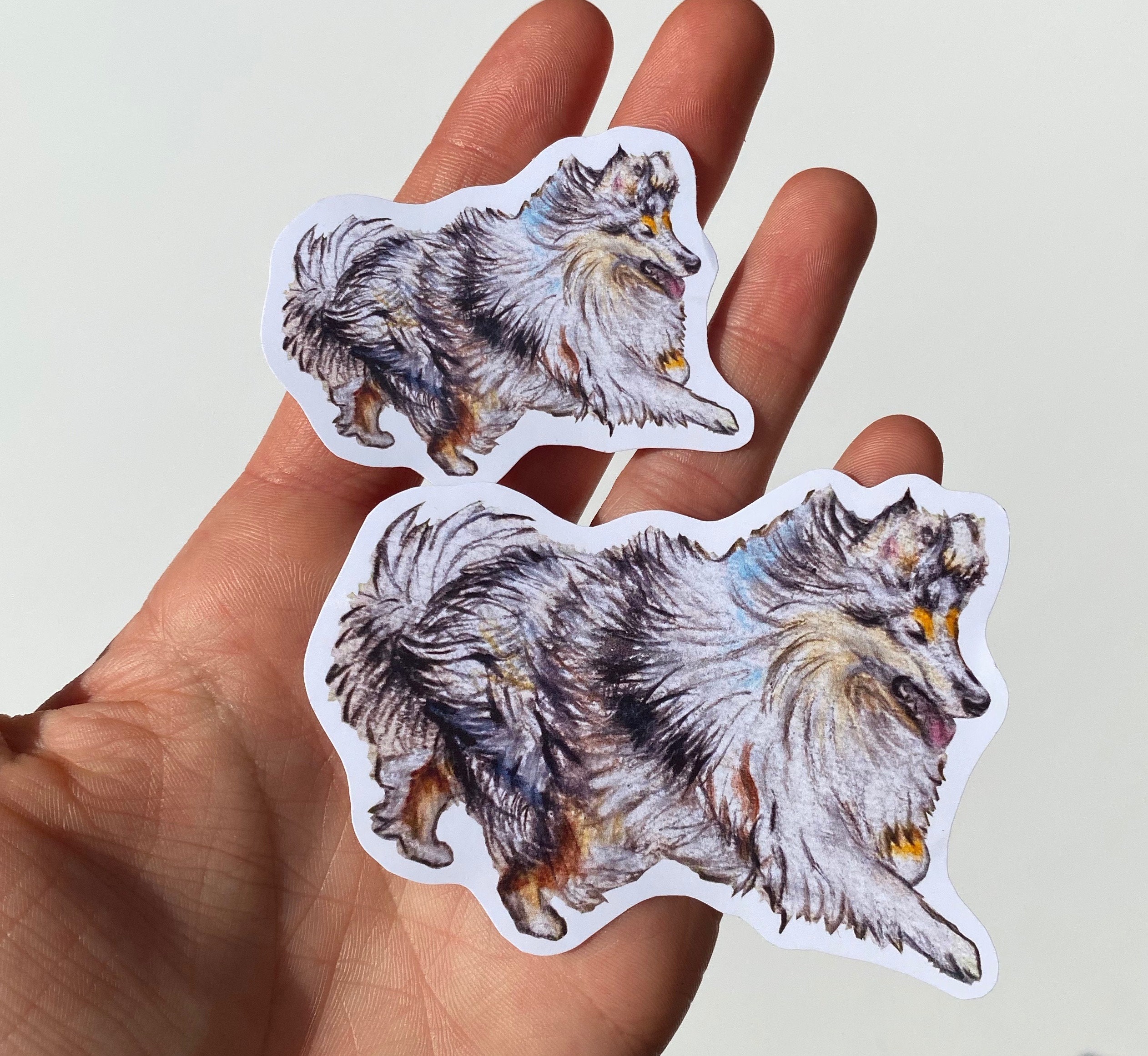 Sheltie Sticker Kleurpotlood Dierlijke Tekening Shetland - Etsy Nederland