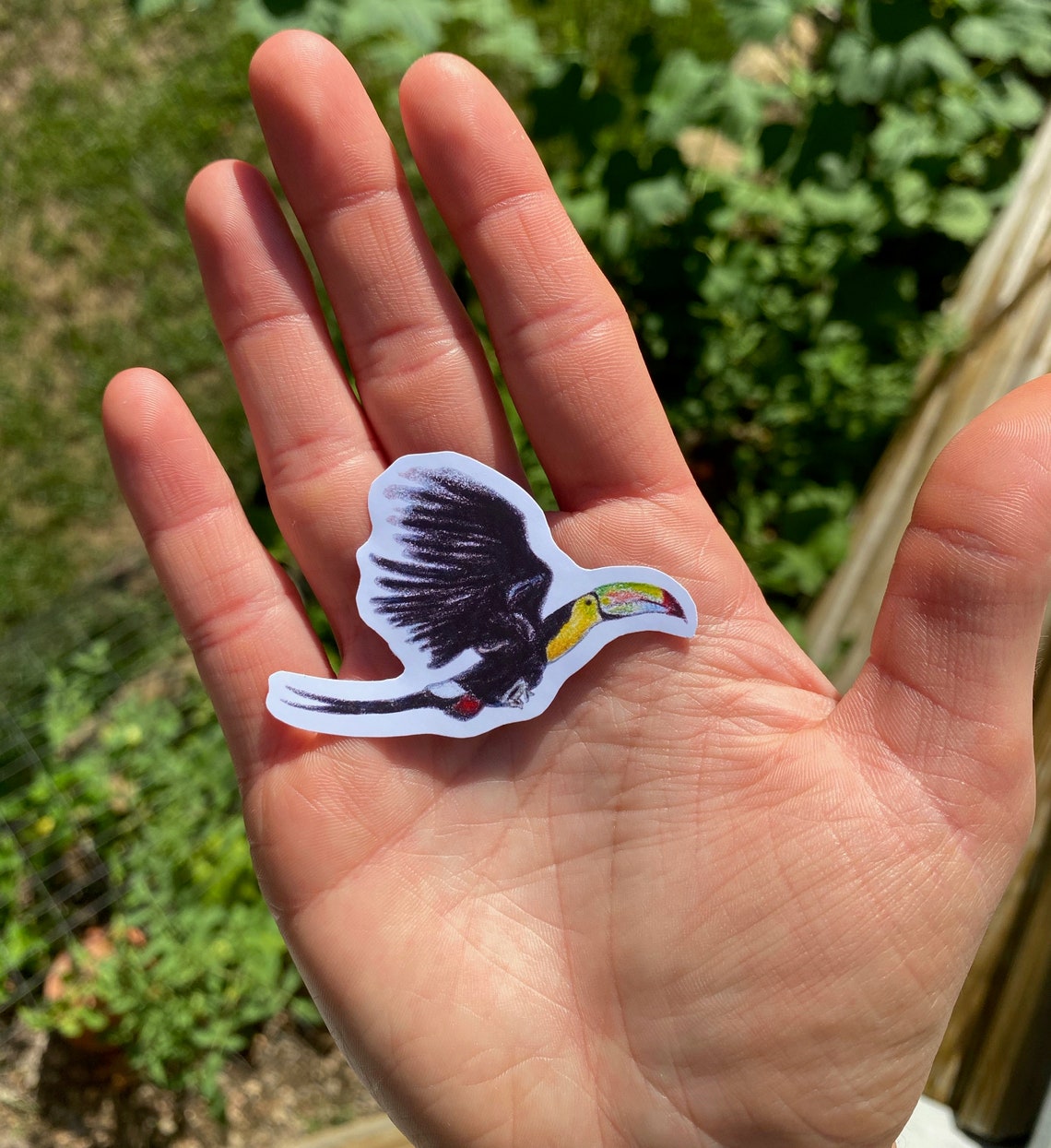 Toucan Sticker, Colored Pencil Animal Drawing, Jungle Wildlife Bird Art ...