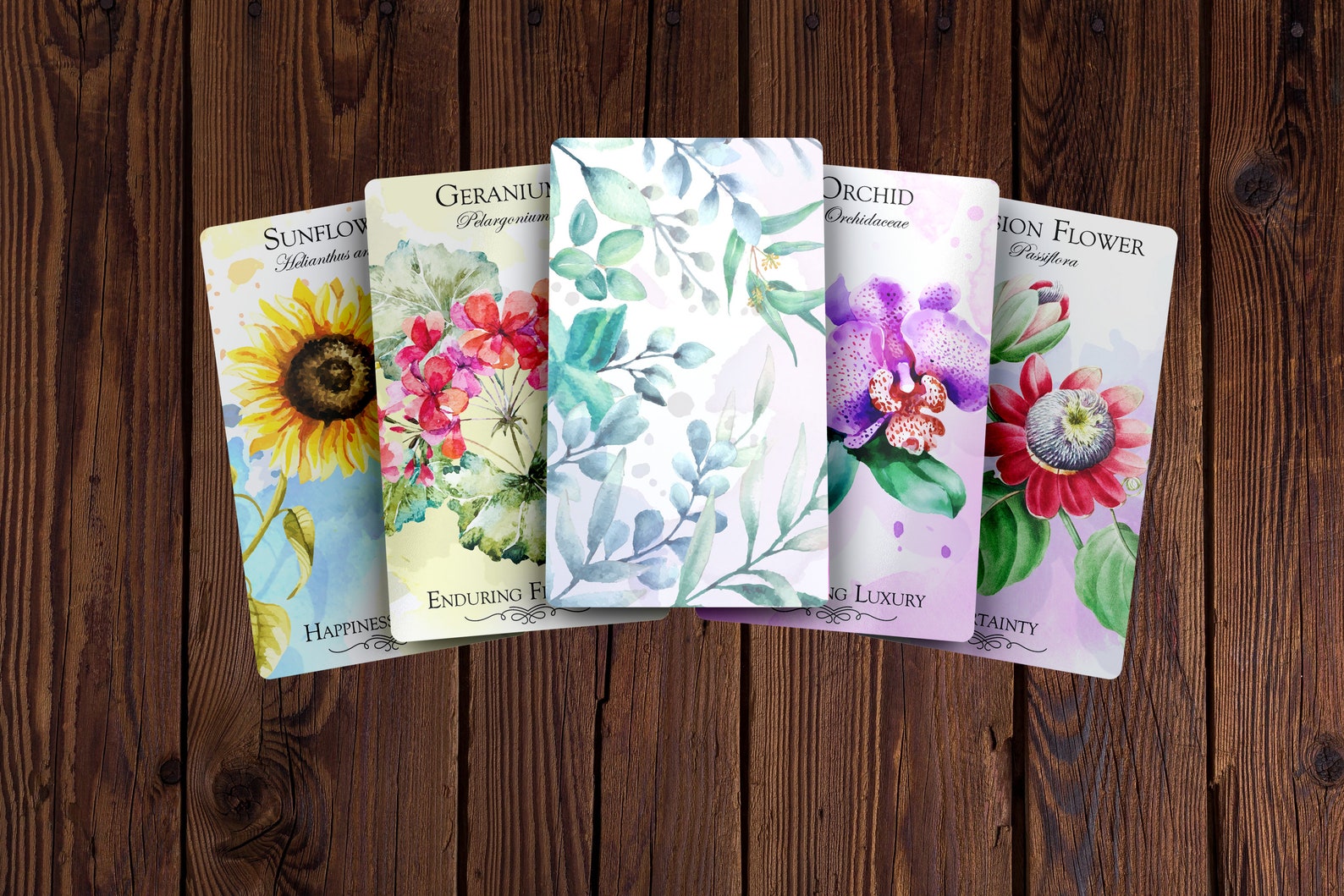 Botanical Messages Flower Oracle Deck Flower Oracle Cards | Etsy Canada