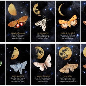 CUSTOM PREORDER: Moth Moon Oracle Deck of Unique Tarot Cards any 2 ...