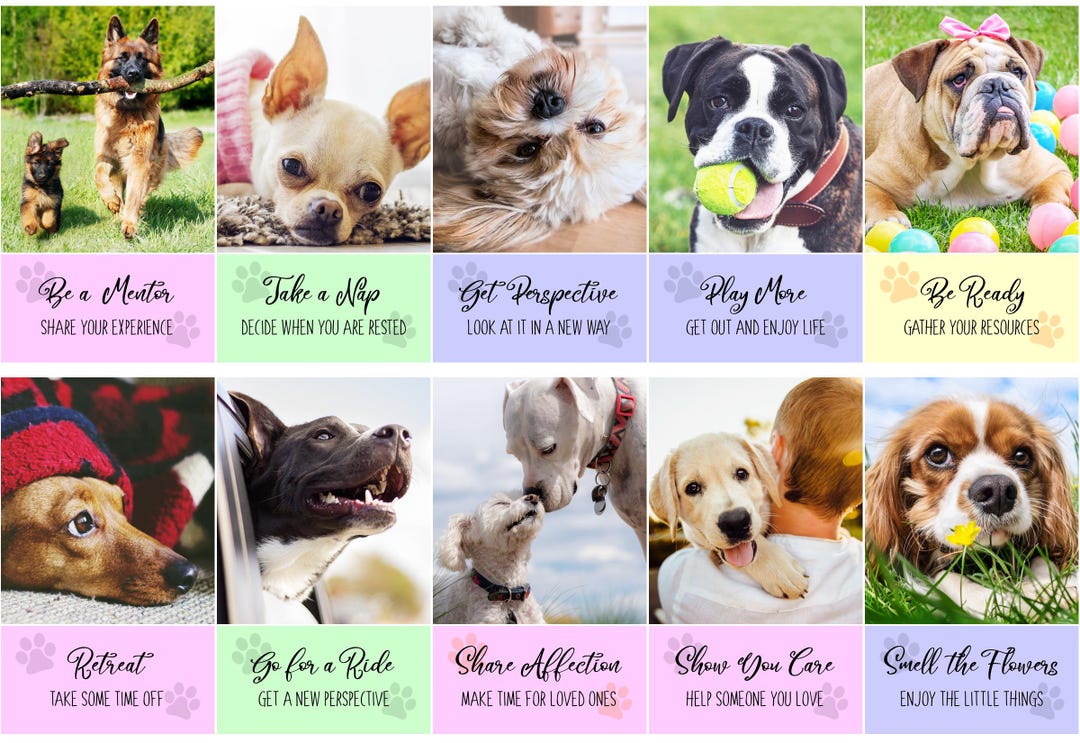 CUSTOM PREORDER: I Love Dogs Oracle Deck of Tarot Cards any 2 Decks ...