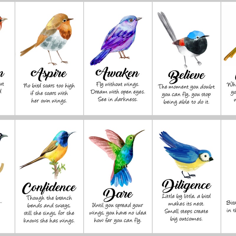 Bird Oracle Cards - Etsy