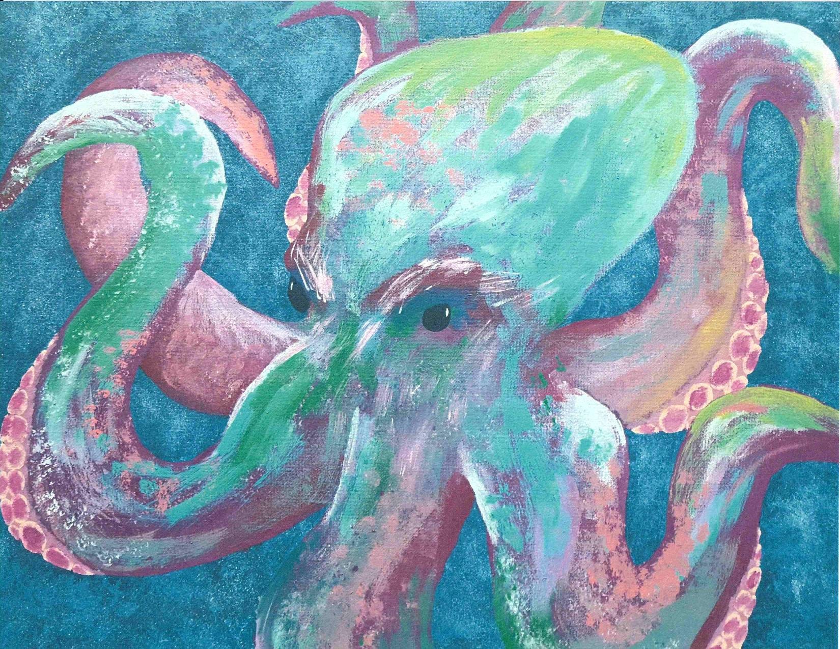 Colorful Octopus Photography