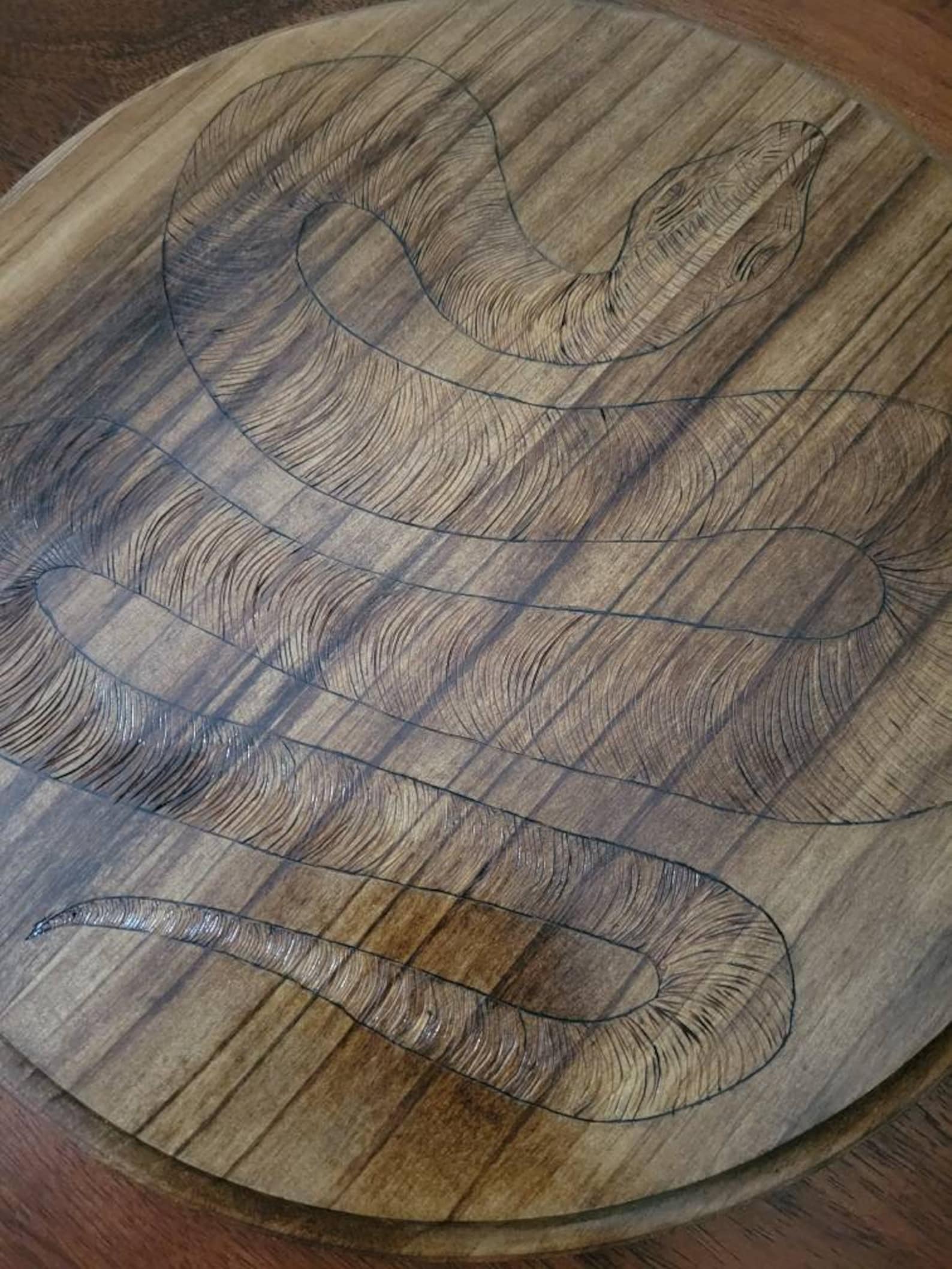 Snake Pyrography, Wood Plaque 12 Inch Diameter, Wall Hanging Decor ...