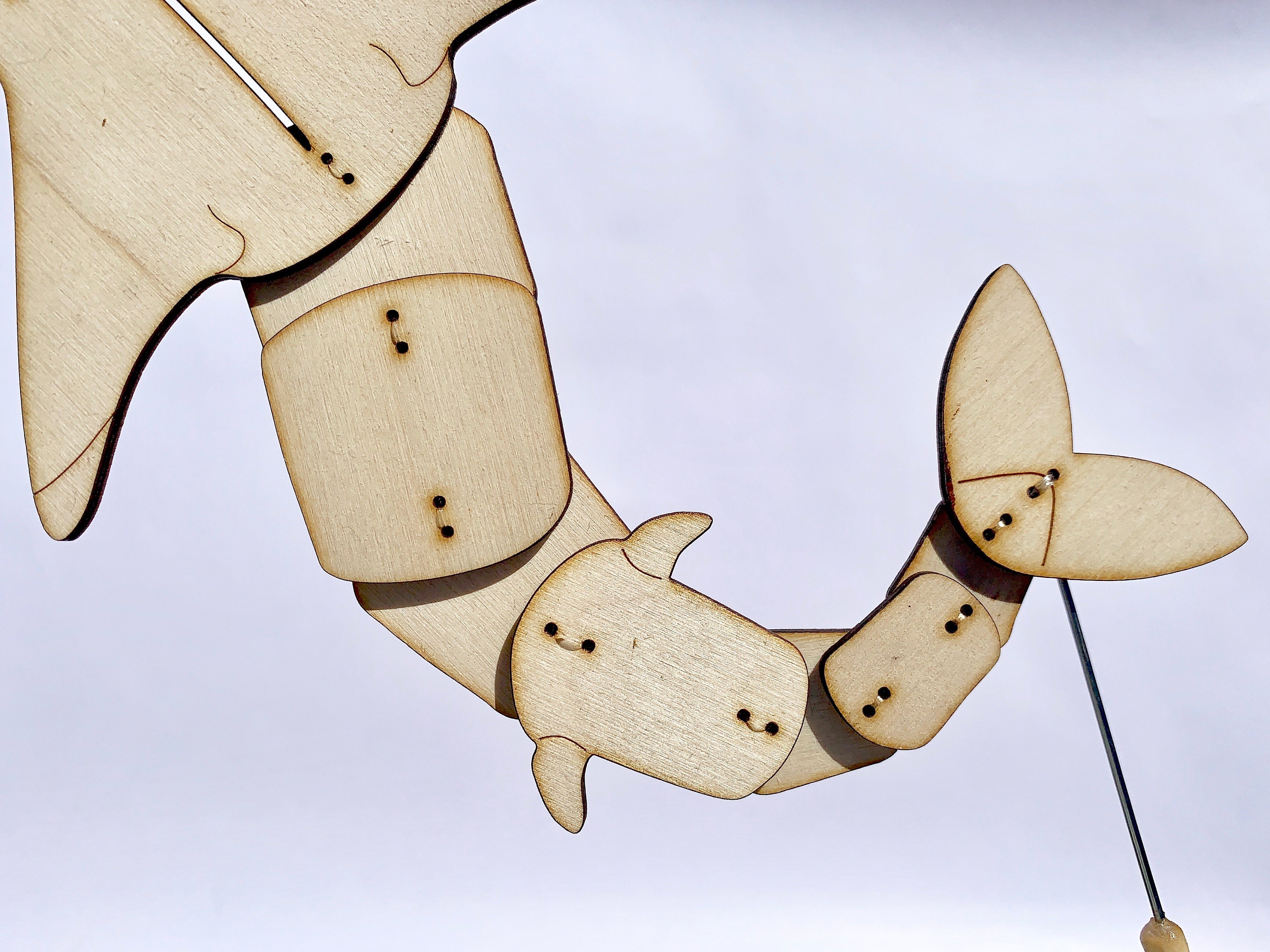 Hammerhead Shark Shadow Puppet, Wooden Laser Cut - Etsy