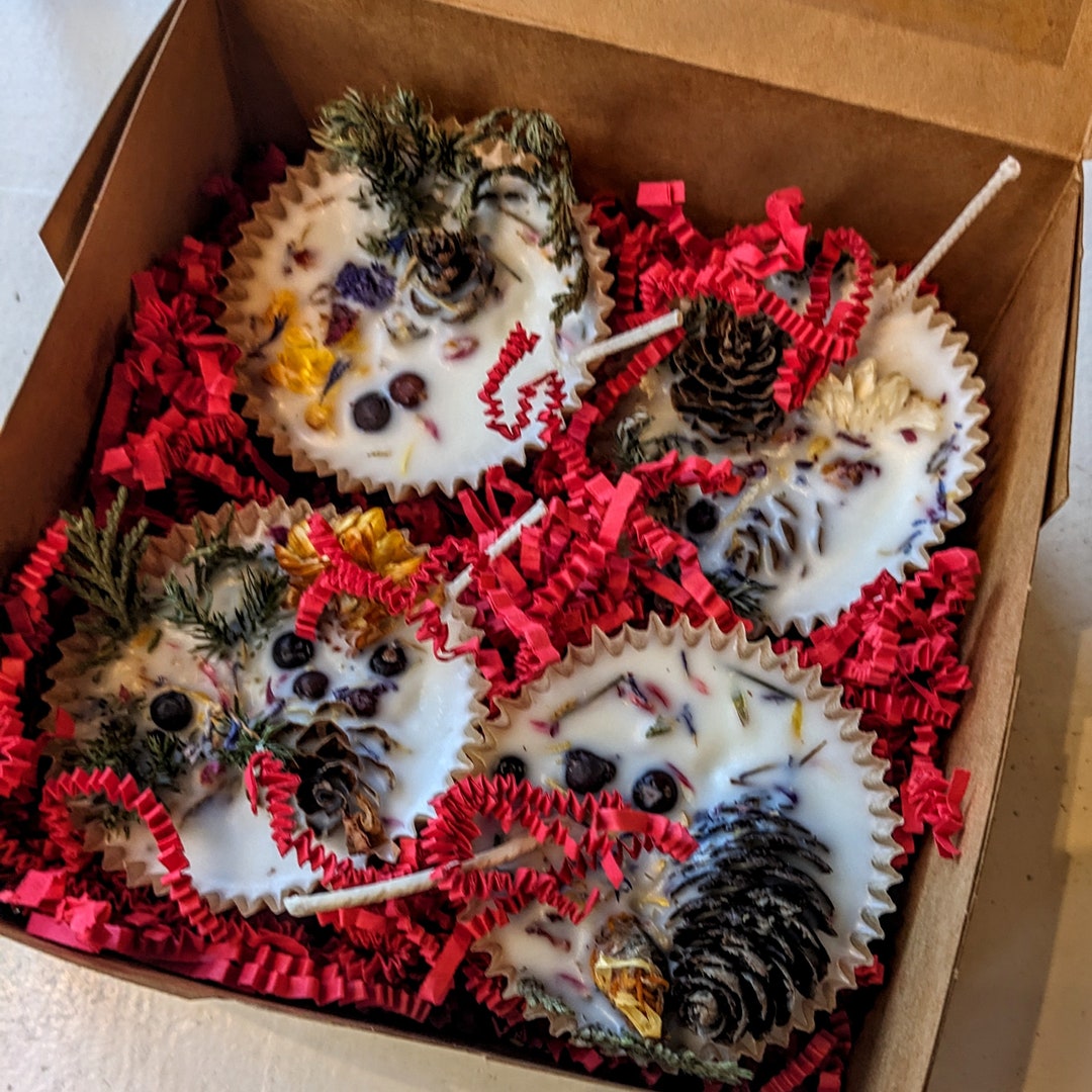 Fire Starters for Fire Pit Soy Wax Pine Cones 4 Pack Gift Set - Etsy