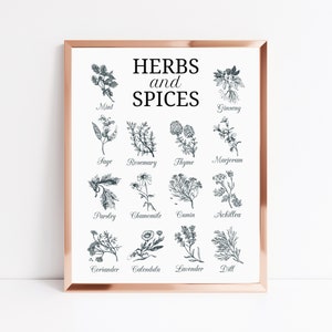 Herbs and Spices Kitchen Poster, Kitchen Wall Art, Wall Art Print ...