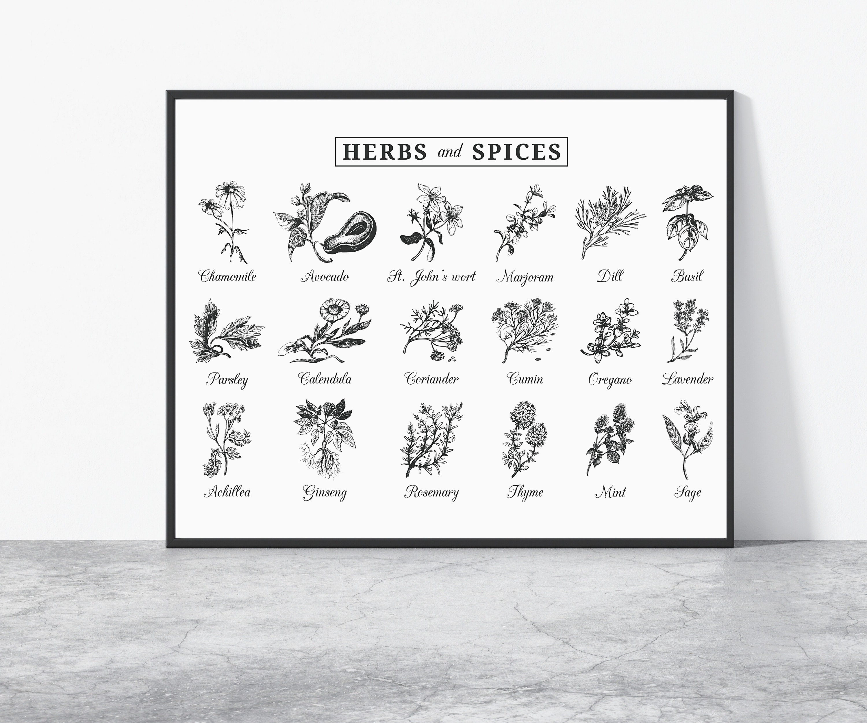 Herbs and Spices Kitchen Poster Kitchen Wall Art Wall Art | Etsy