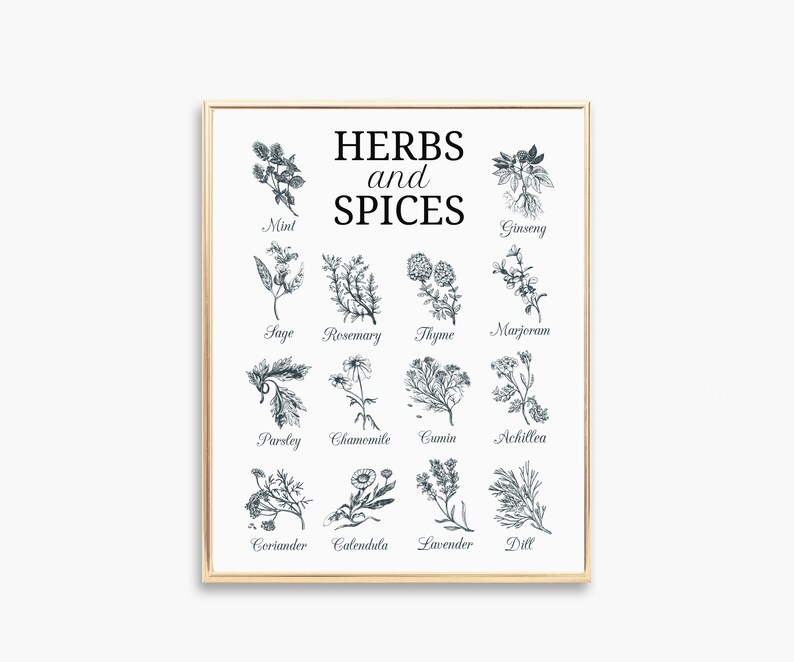 Herbs and Spices Kitchen Poster Kitchen Wall Art Wall Art - Etsy