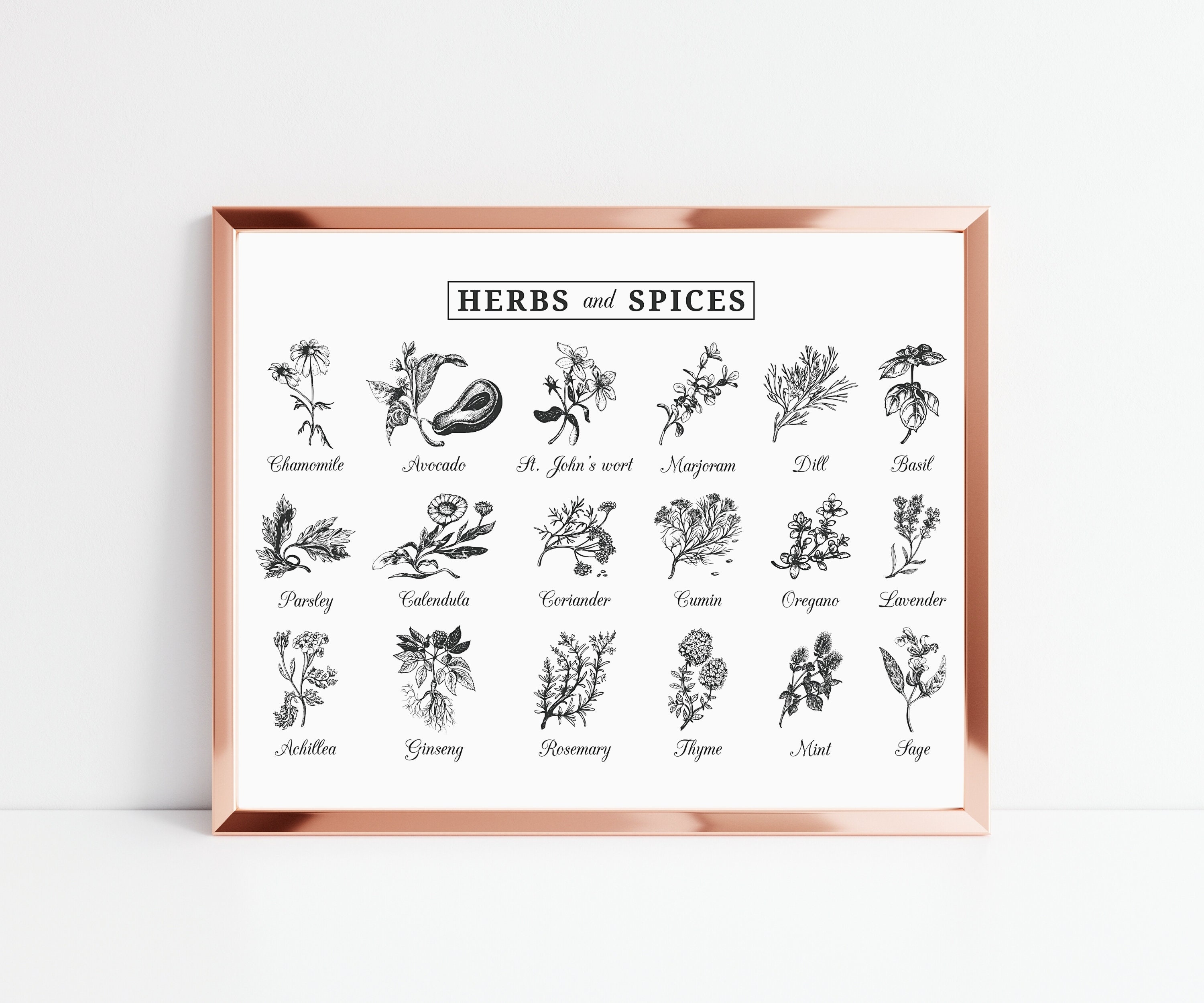 Herbs and Spices Kitchen Poster Kitchen Wall Art Wall Art | Etsy