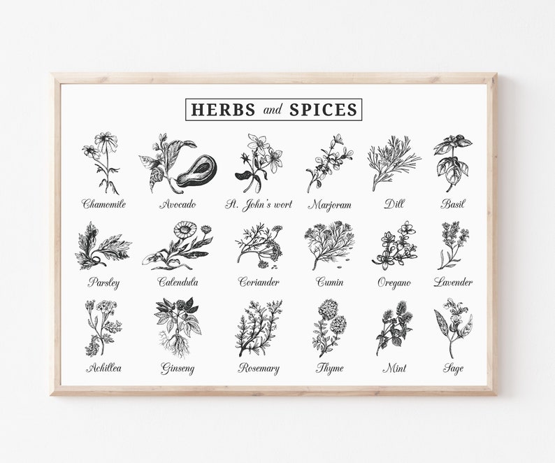Herbs and Spices Kitchen Poster Kitchen Wall Art Wall Art - Etsy