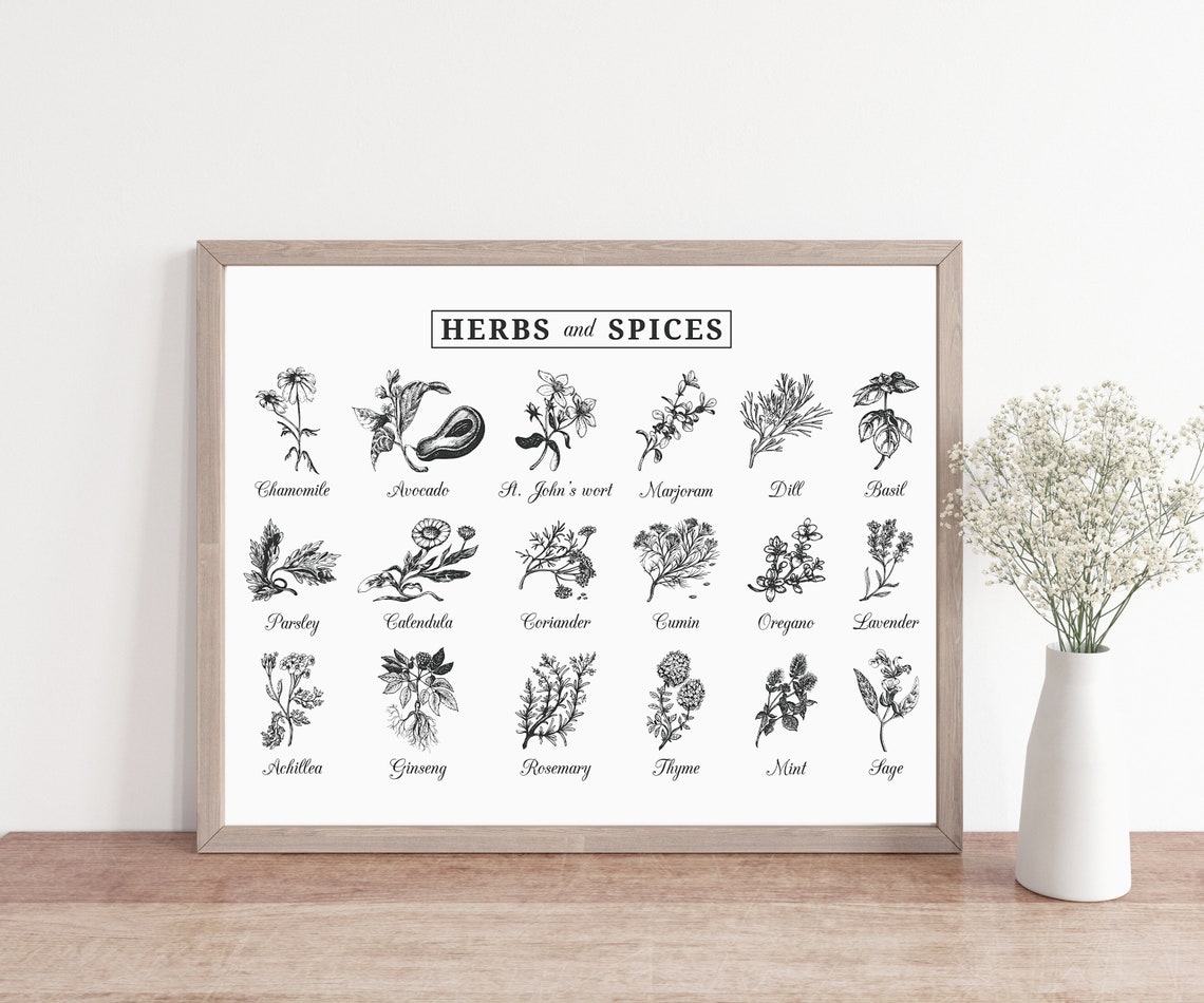 Herbs and Spices Kitchen Poster Kitchen Wall Art Wall Art | Etsy
