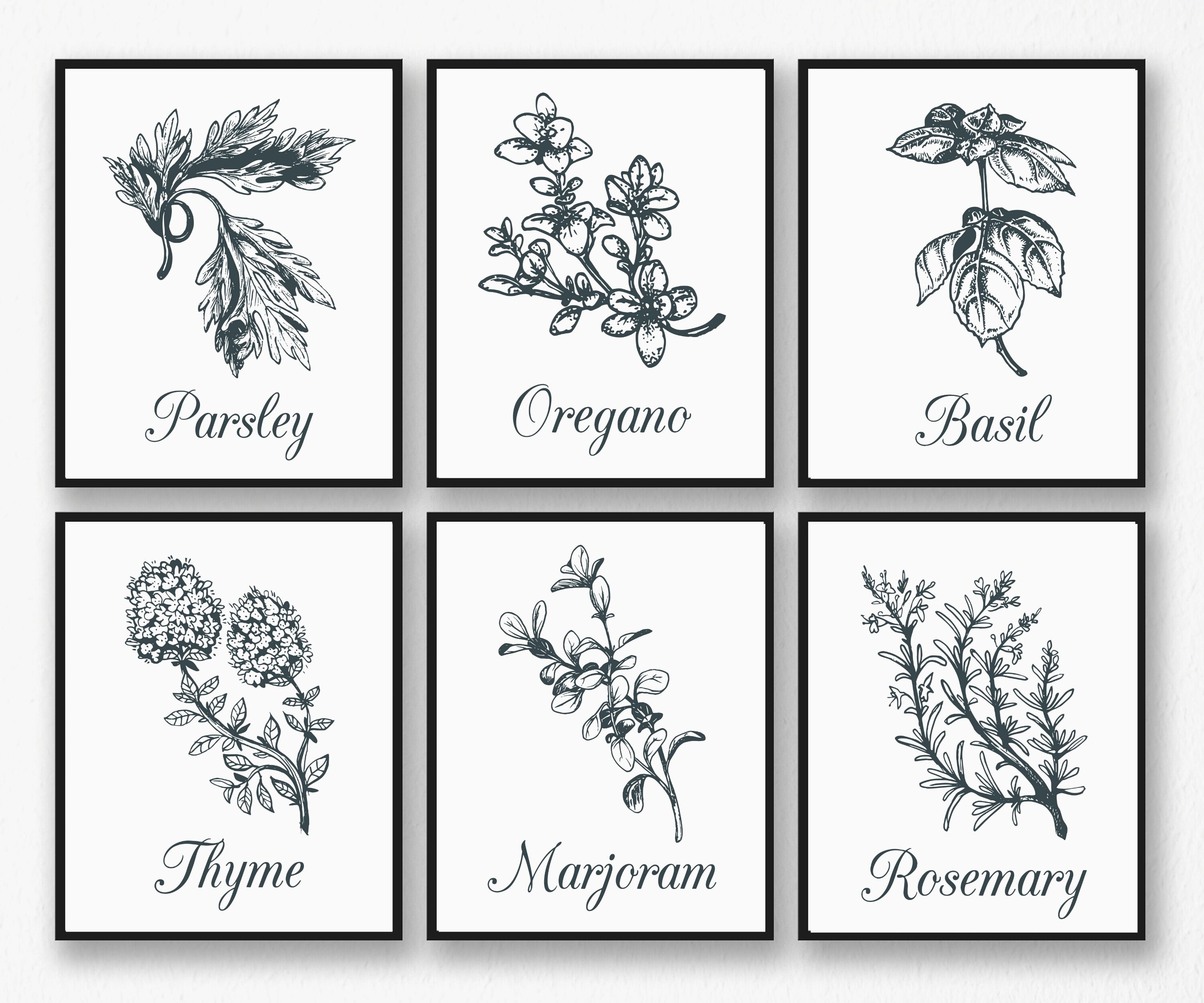 Set of 6 Herb Prints Kitchen Printable Art Botanical Print | Etsy