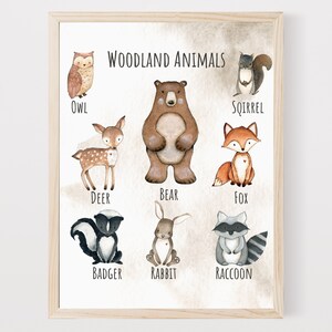 Educational Art Print - Homeschool Wall Art - Woodland Animal Nursery ...