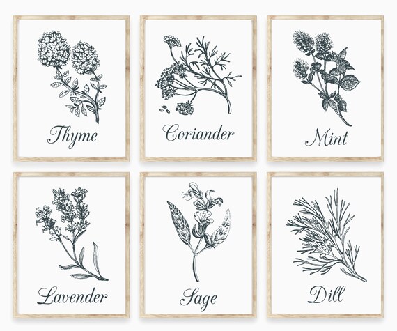 Set of 6 Herb Prints Kitchen Printable Art Botanical Print | Etsy