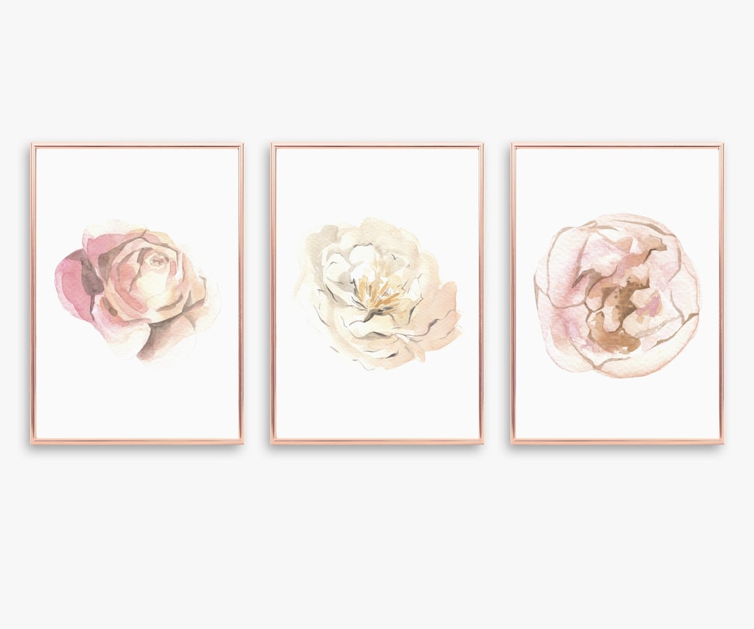 Blush Floral Watercolor Print Set: Botanic Wall Art (digital Download ...