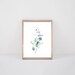 Greenery Digital Print,wall Art Decor,greenery,eclectic,farmhouse,boho ...