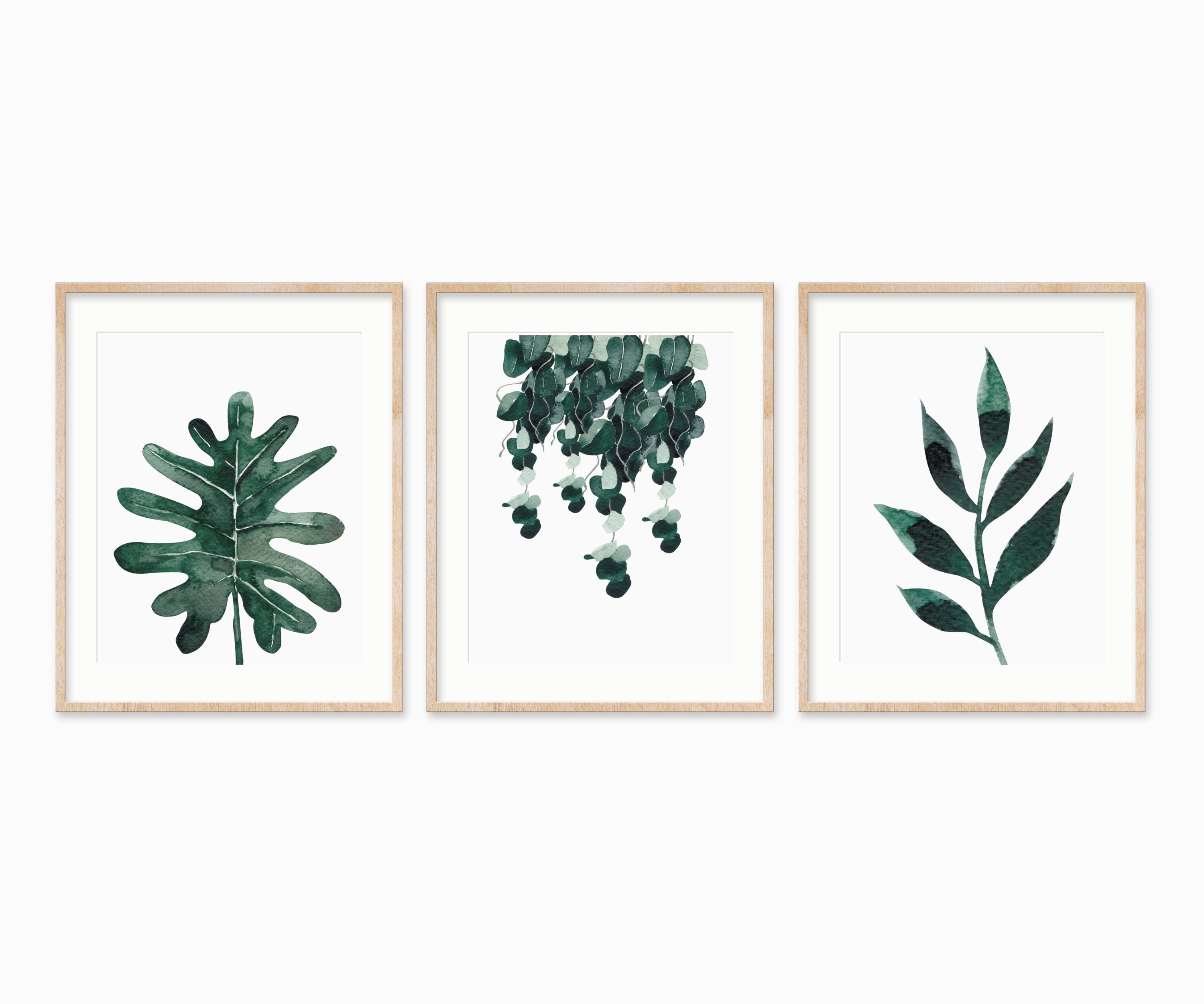 Set of 3 Plant Prints Floral Instant Art Printable Art | Etsy