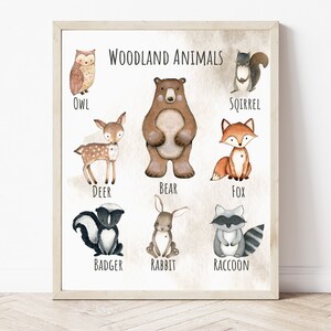 Educational Art Print - Homeschool Wall Art - Woodland Animal Nursery ...