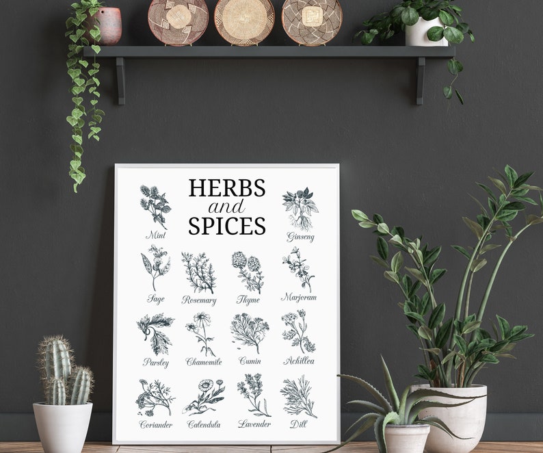 Herbs and Spices Kitchen Poster Kitchen Wall Art Wall Art - Etsy