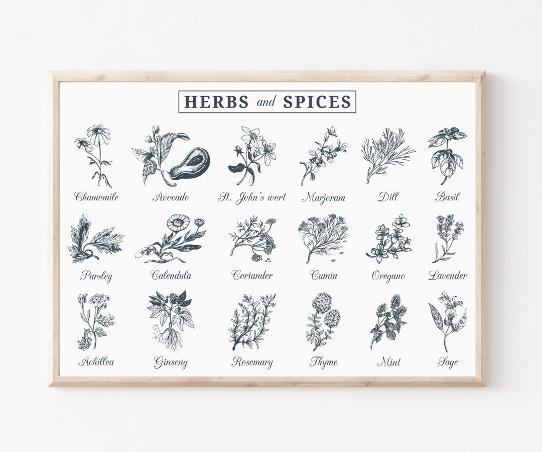 Herbs and Spices Kitchen Poster, Kitchen Wall Art, Wall Art Print ...