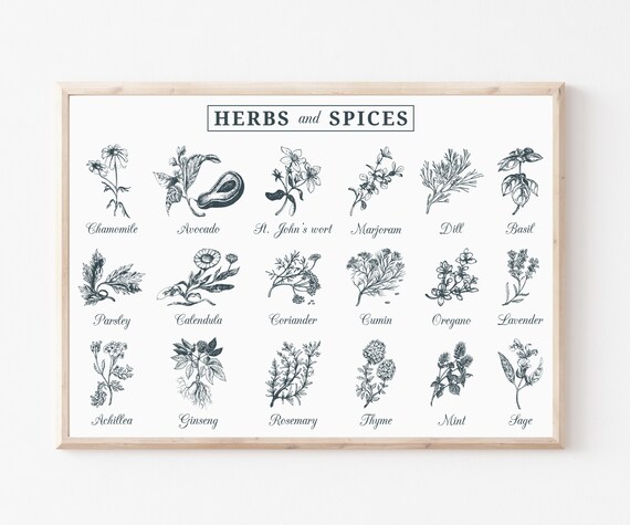 Herbs and Spices Kitchen Poster Kitchen Wall Art Wall Art | Etsy