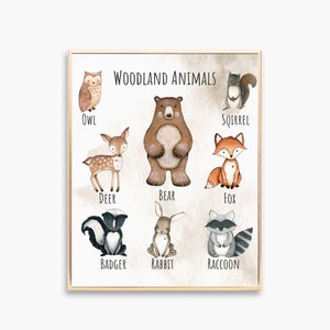 Educational Art Print - Homeschool Wall Art - Woodland Animal Nursery ...