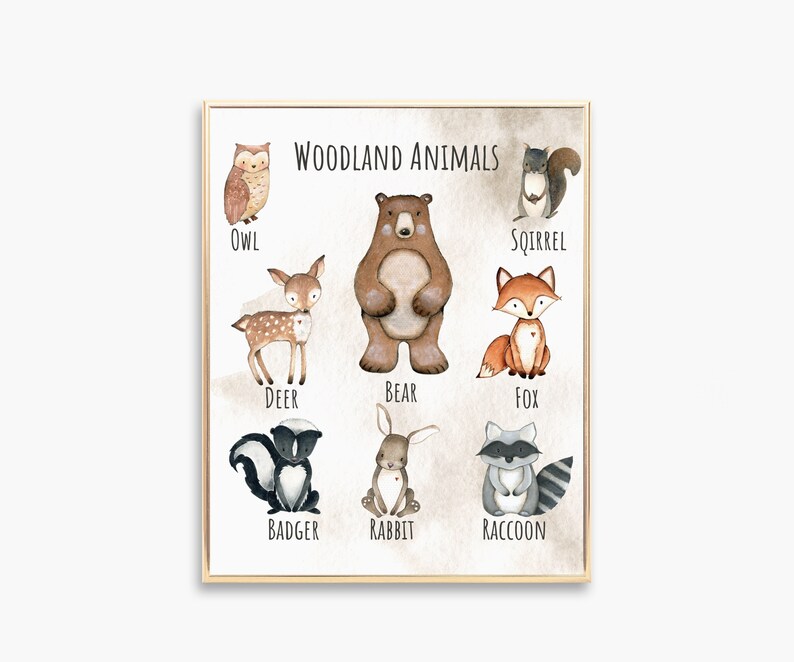 Educational Art Print Homeschool Wall Art Woodland Animal | Etsy