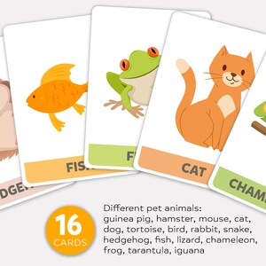 Pet Animals Flashcards Pets Flashcards Printable Animals Flash Cards ...