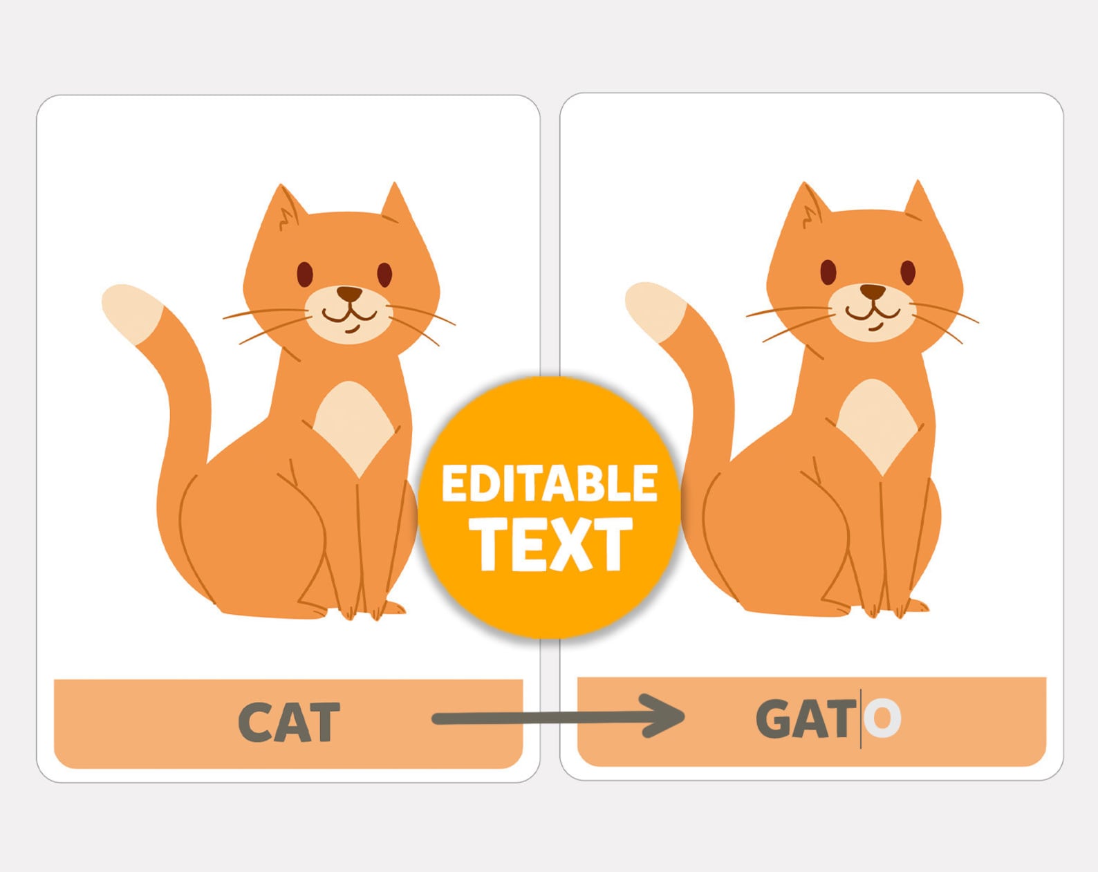 Pet Animals Flashcards Pets Flashcards Printable Animals Flash - Etsy